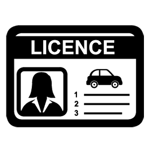 License Icon.png